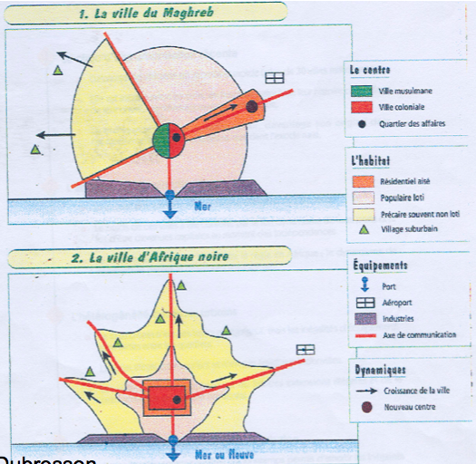 City and Urbanization