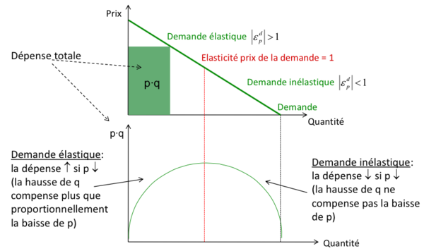Les élasticités et ses applications