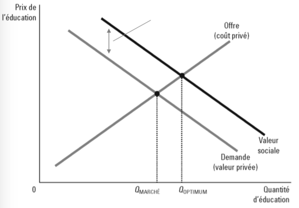 Les externalités et le rôle de l'État